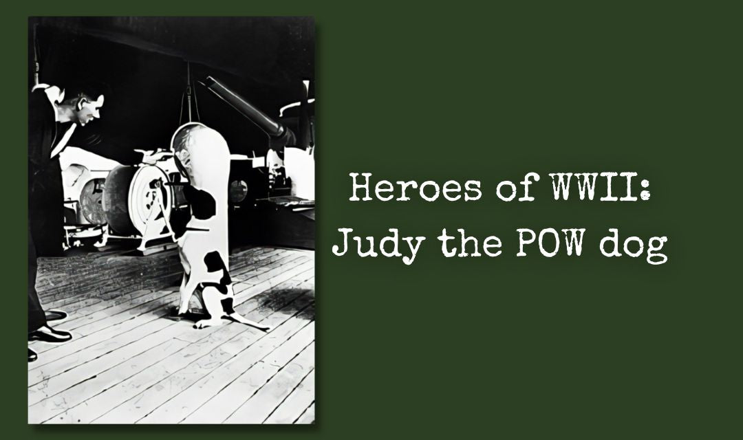 Heroes of WWII: Judy the POW dog - BRICKTANKS